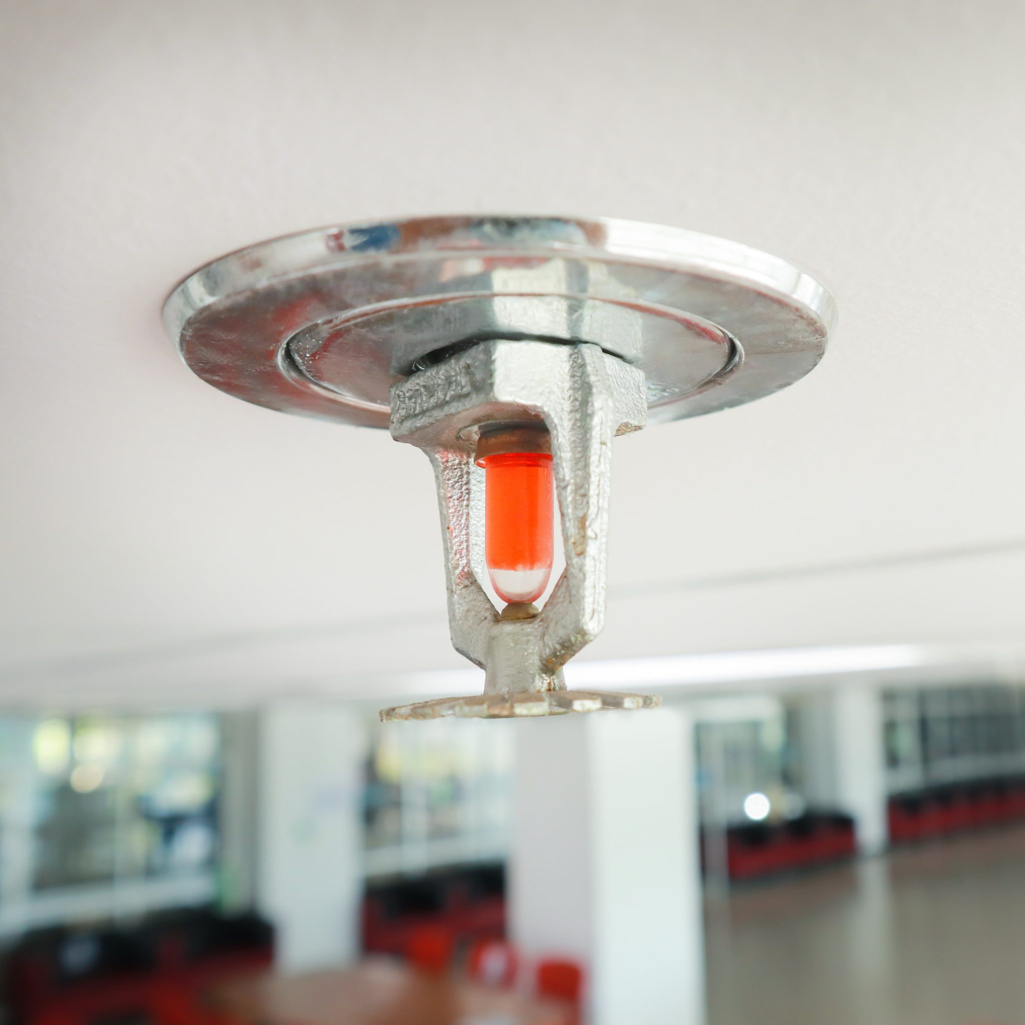 Pre-Action Fire Sprinkler System │ Western States Fire Protection